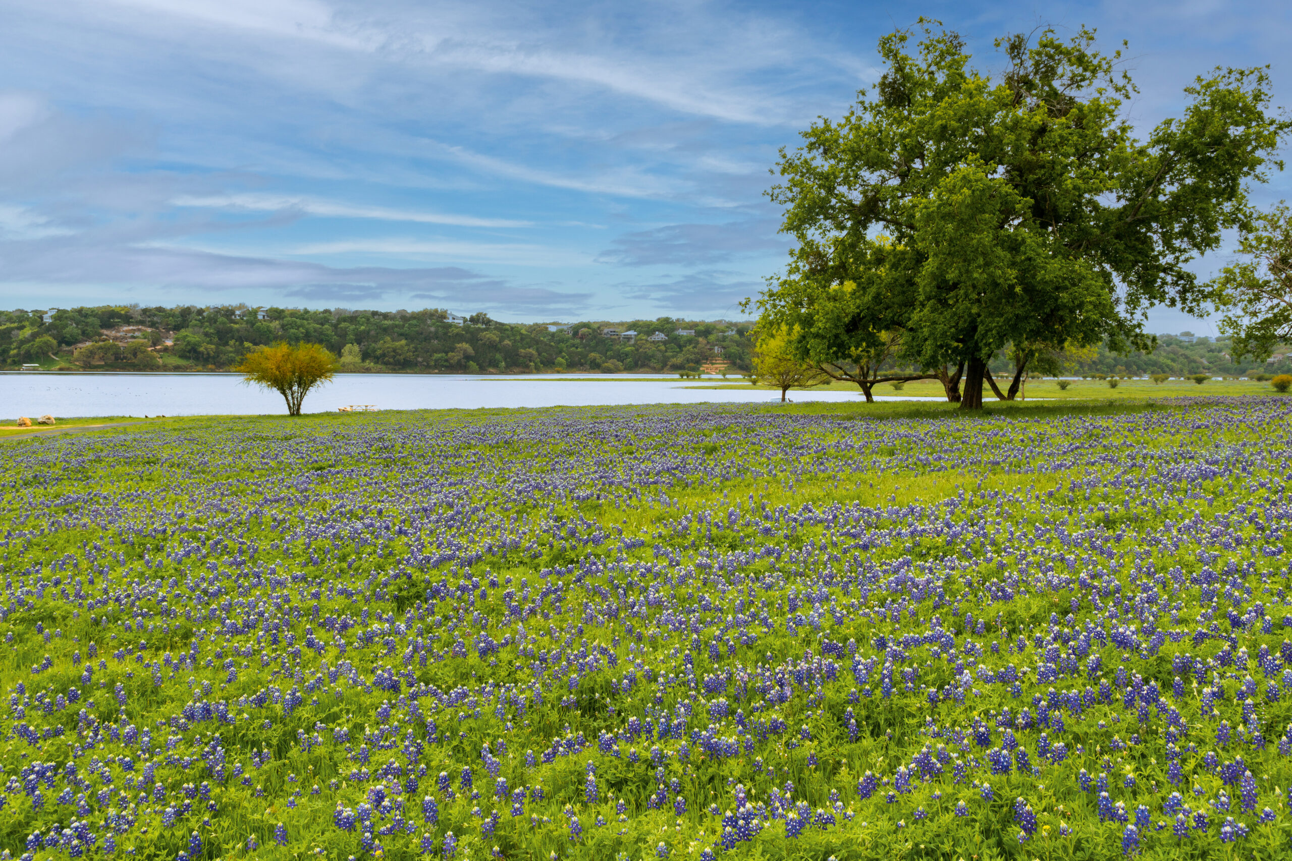 Riverstone Companies – Land & Ranch
